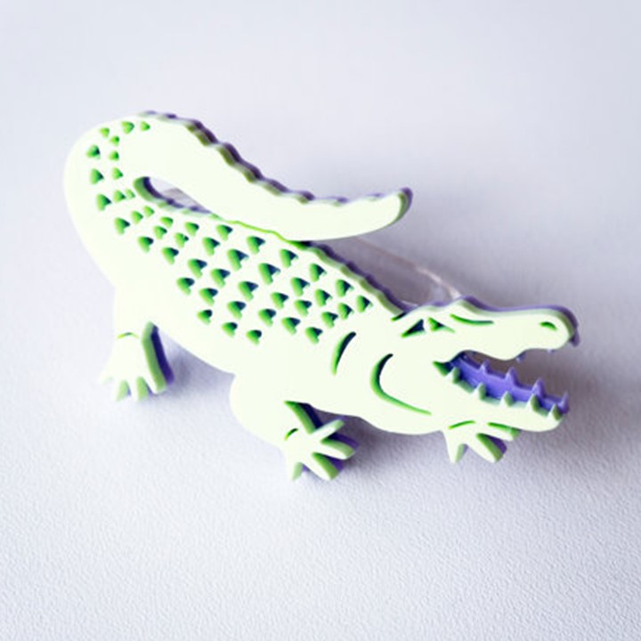 alligator ring – Birds Yard