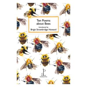 10 poems about bees – Birds Yard