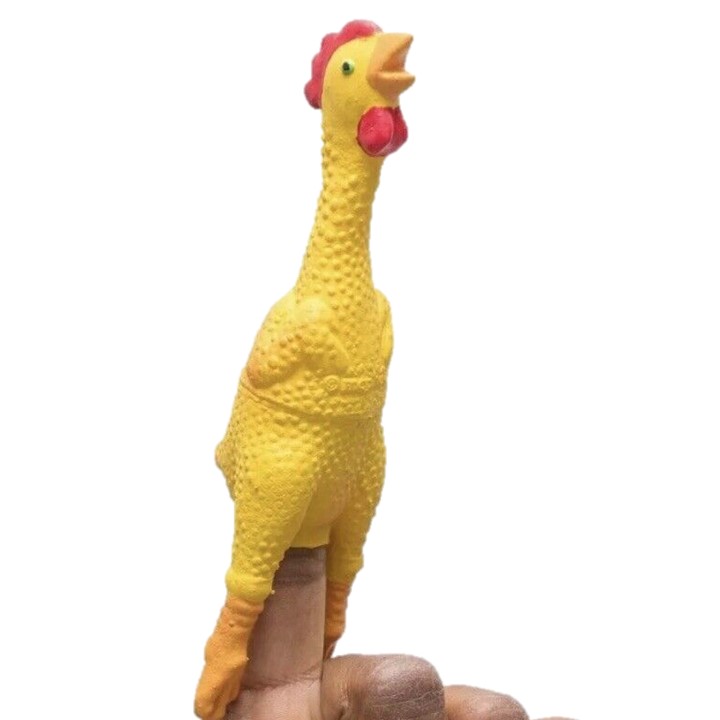 finger rubber chicken – Birds Yard